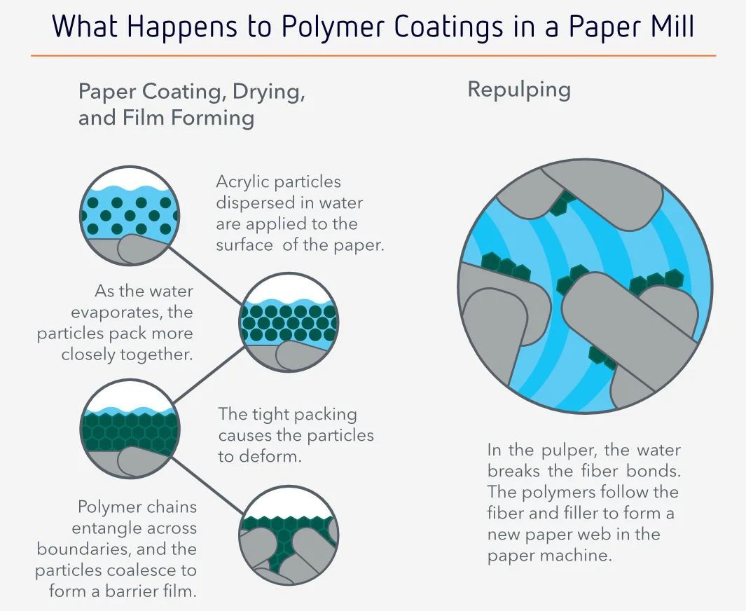 The Environmental Impact of Paper Cup Manufacturing - Paper Cup ...