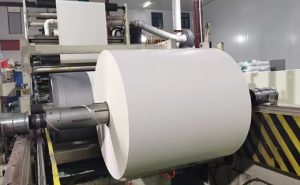 Best Paper Cups Manufacturer & Suppliers In China Factory